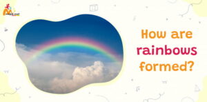 How are Rainbows formed? - Magikmat